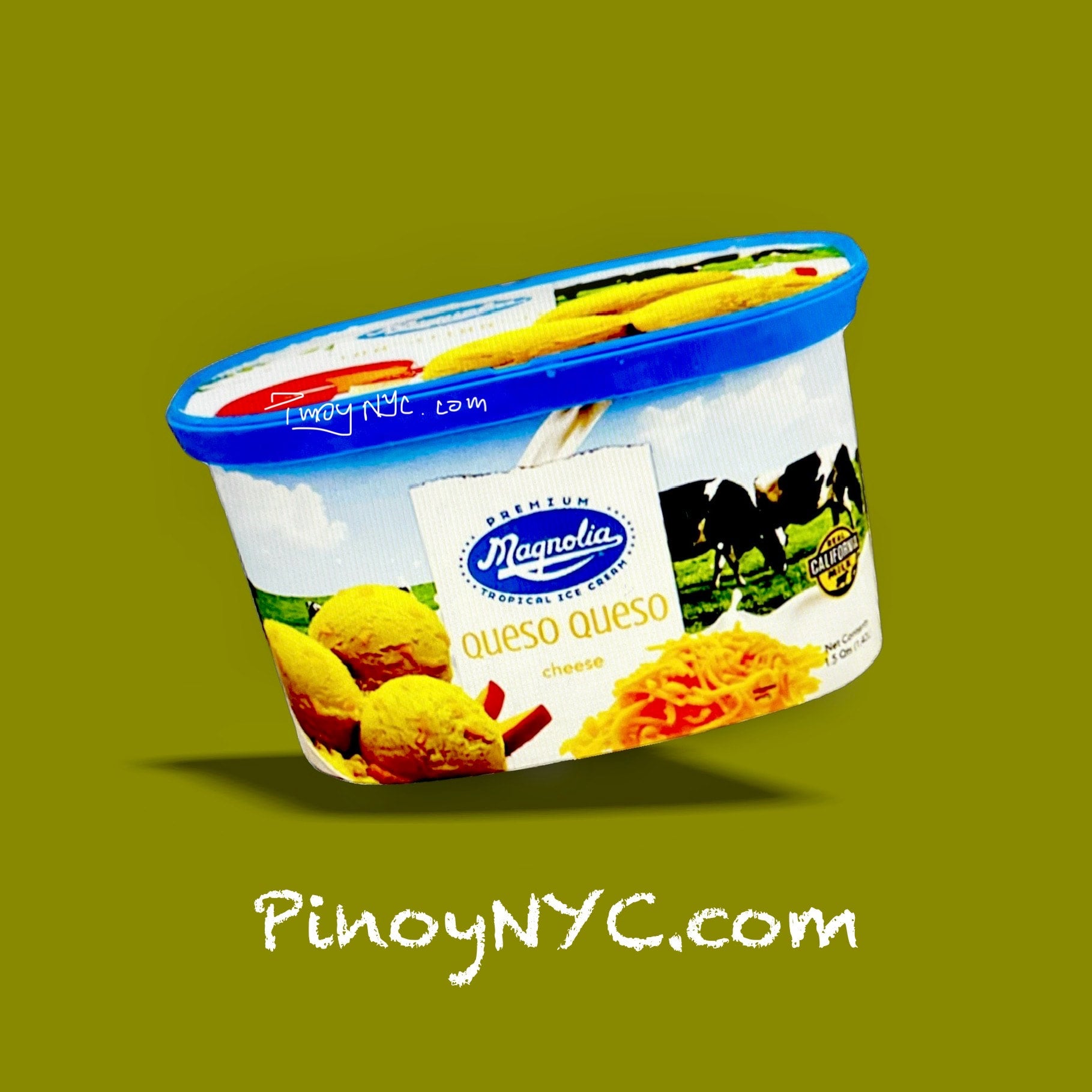 Magnolia Ice Cream - Queso Queso | PinoyNYC.com
