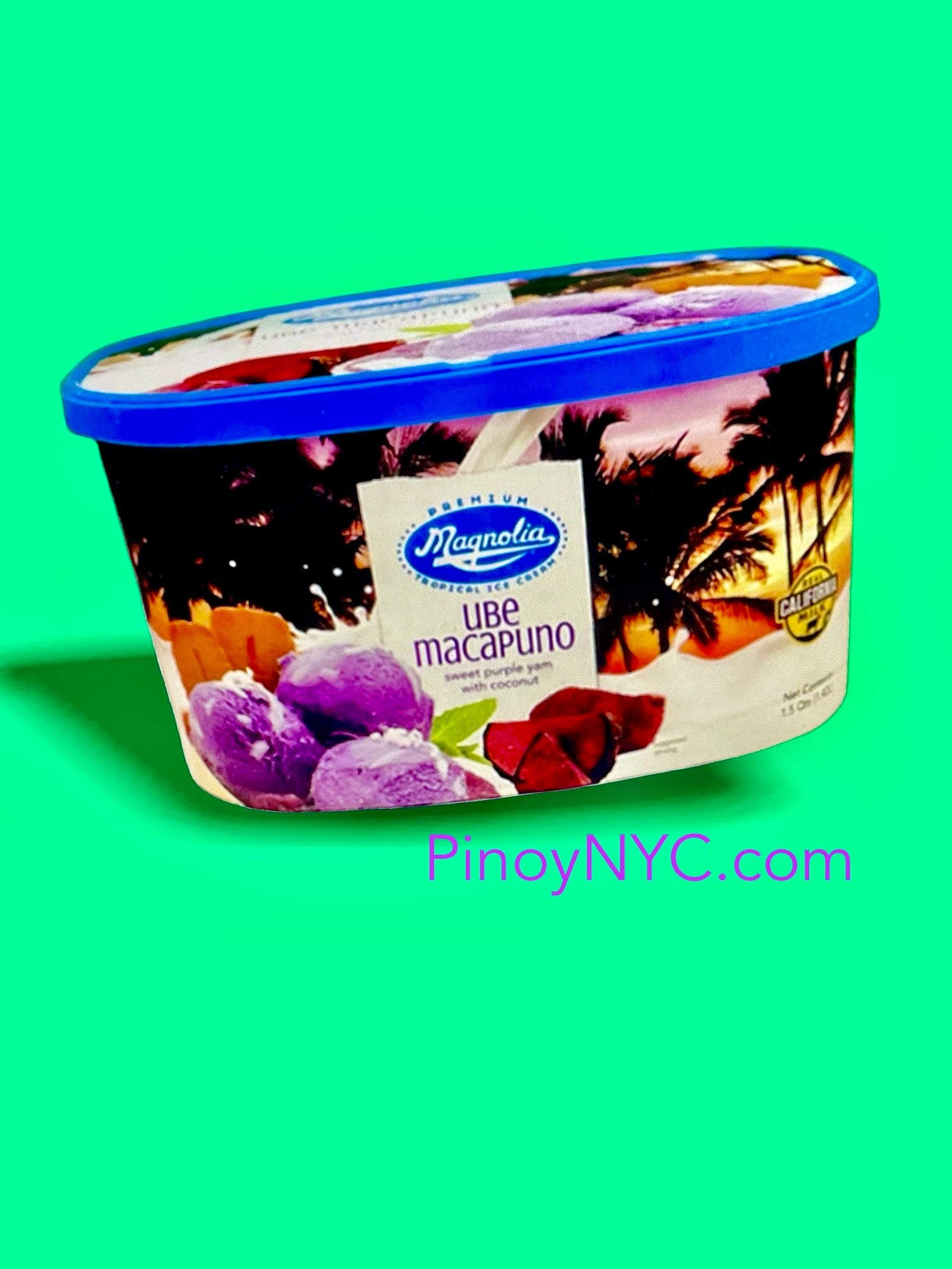 Magnolia Macapuno Ube Ice Cream 3196 | PinoyNYC.com