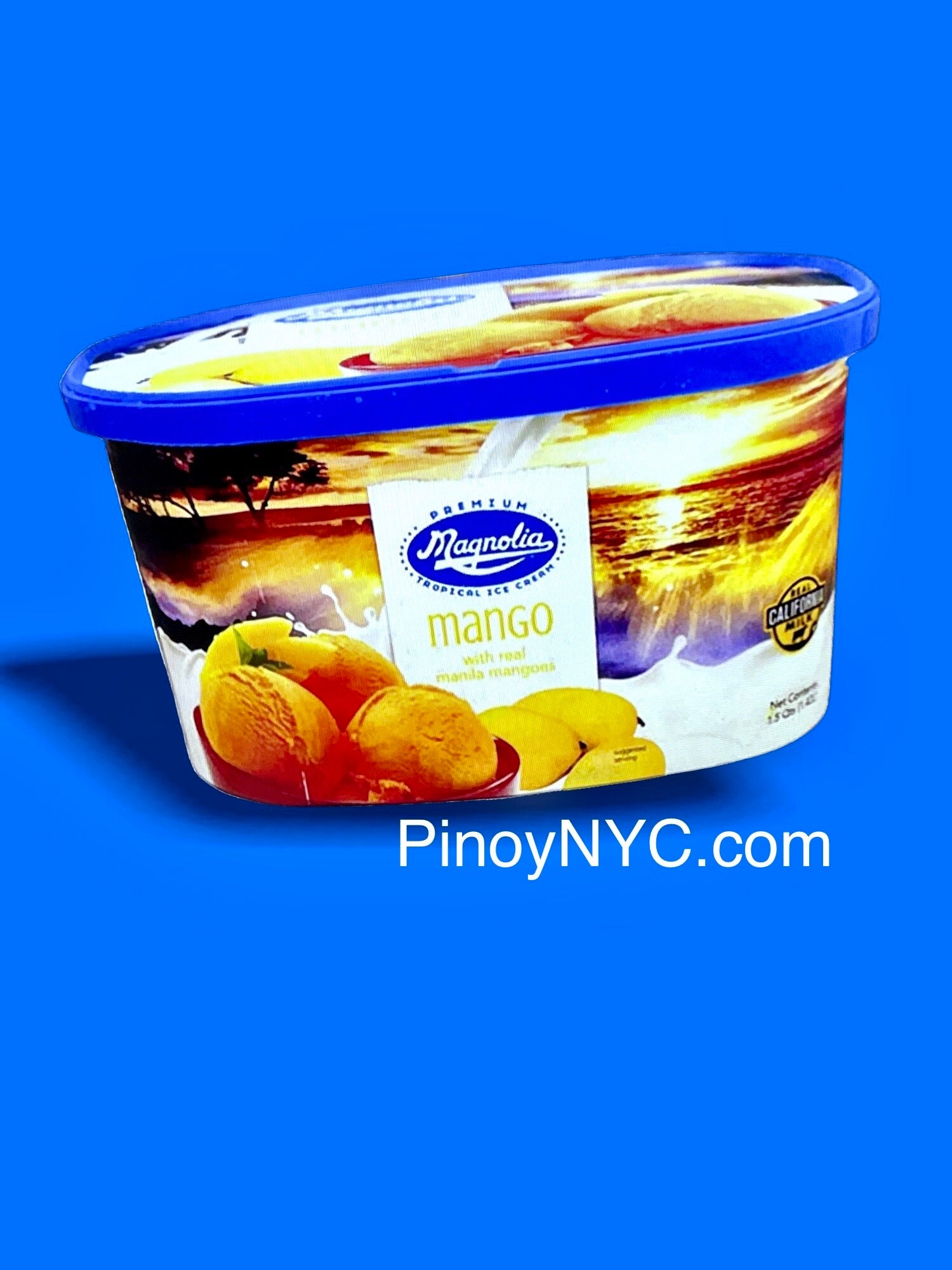Magnolia MANGO Ice Cream | PinoyNYC.com